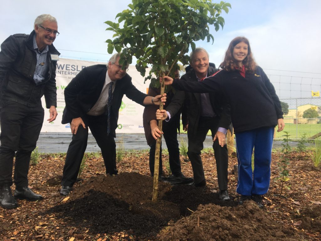 Million Trees Unearths Partners to Plant 170,000 Trees and Shrubs in ...
