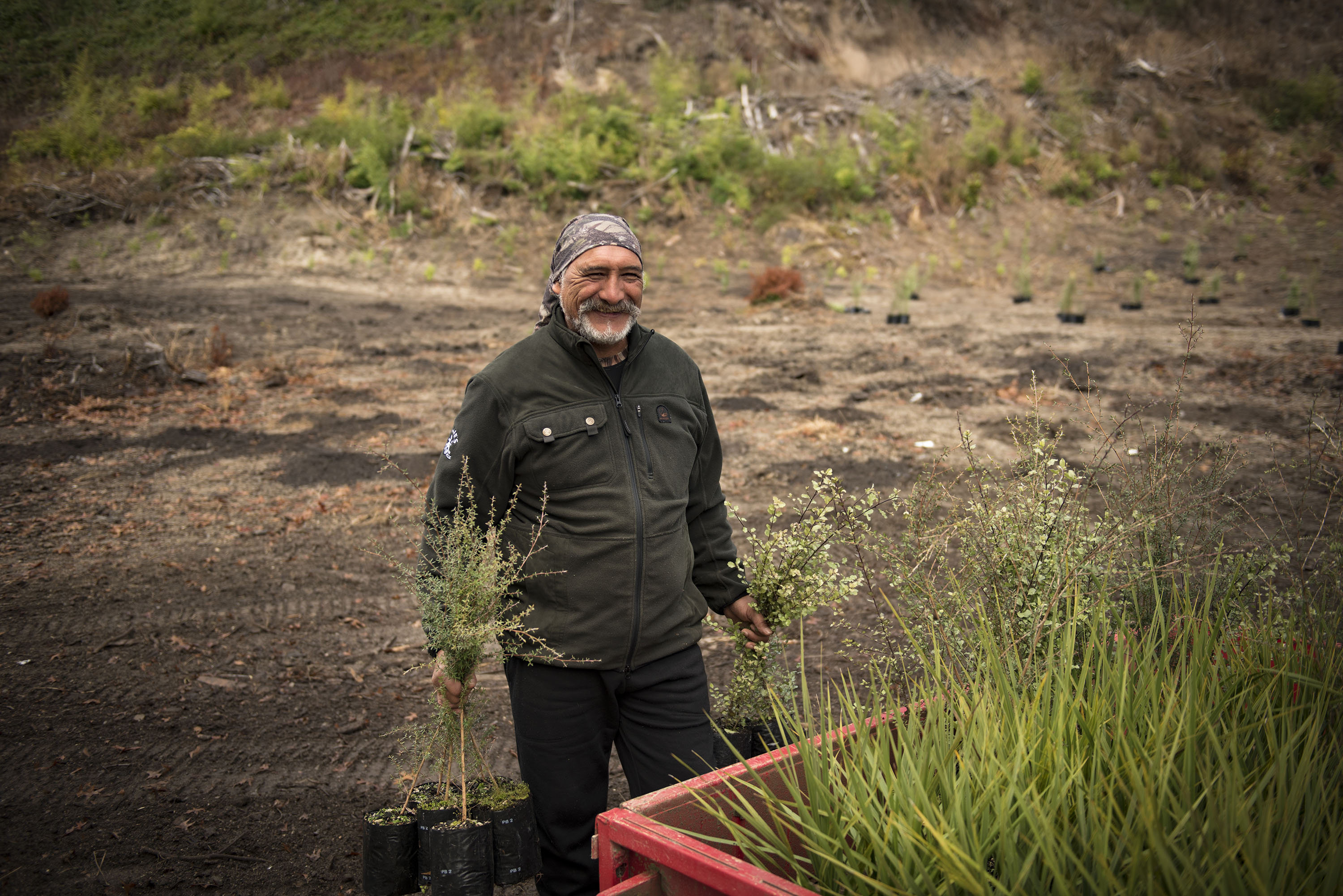 Trees That Count reaches 8 million tree milestone - The Tindall Foundation