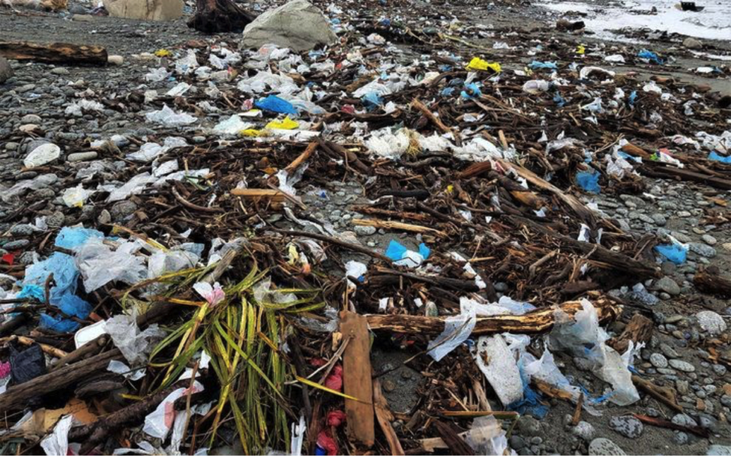 NZ signs up to anti-plastic pledge - The Tindall Foundation