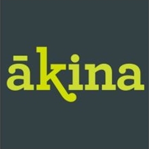 Akina Foundation launches The Impact Initiative as part of the Social ...
