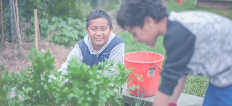 Who we are - The Tindall Foundation