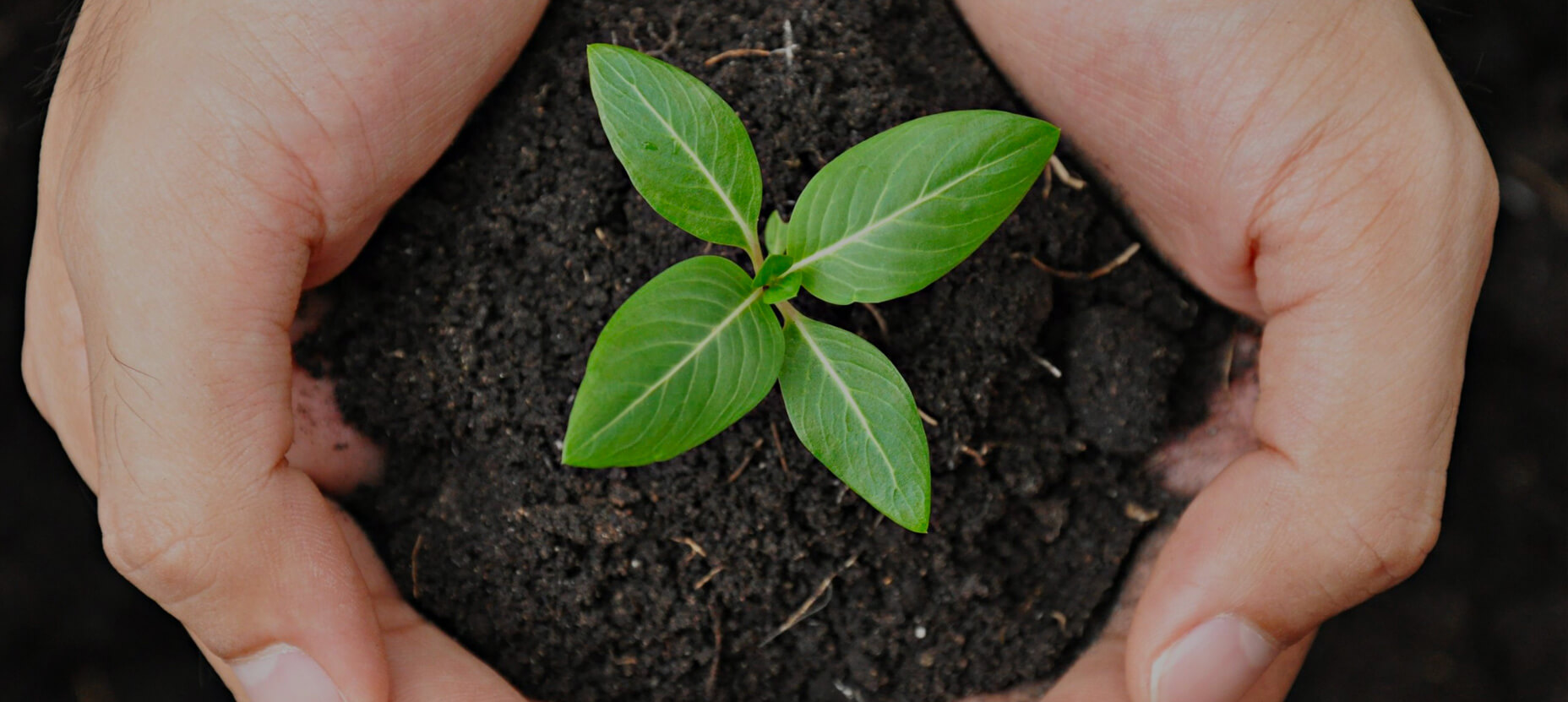 Growing Local Generosity with Community Foundations of New Zealand ...