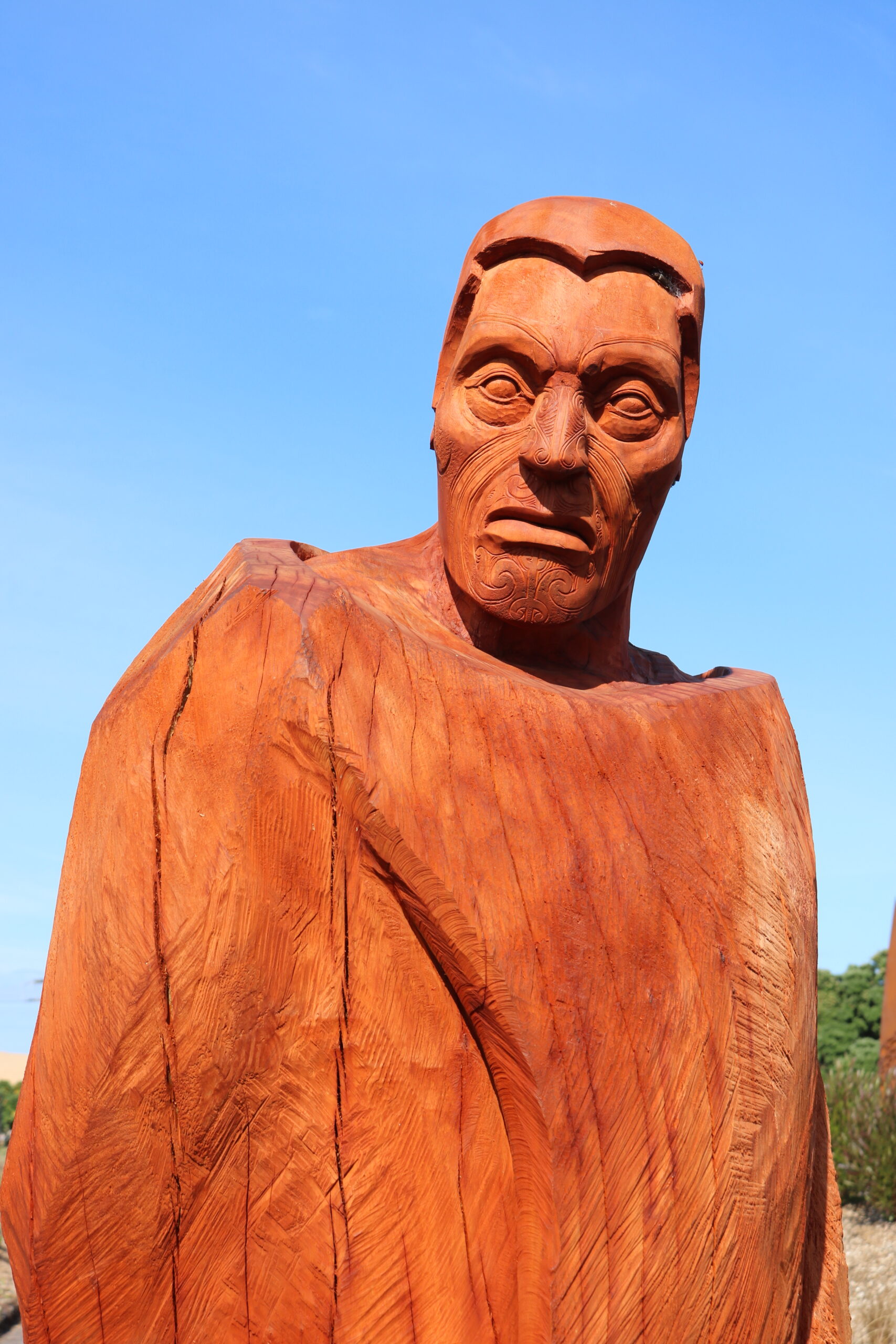 Manea Footprints of Kupe - a must see experience of cultural ...