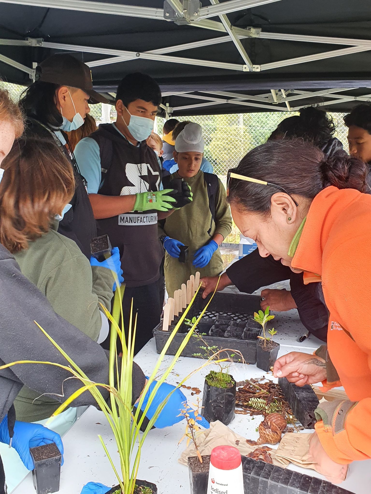 Ngā Rākau Hauora Education Programme - The Tindall Foundation